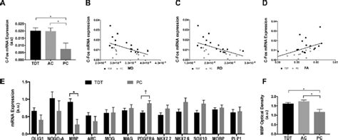 Candidate Genes Mrna Analysis And Immunohistochemistry A C Fos Mrna