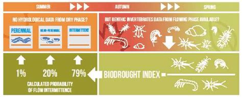 9 Scheme Outlining The Use Of Macroinvertebrate Sampling Data To Download Scientific Diagram