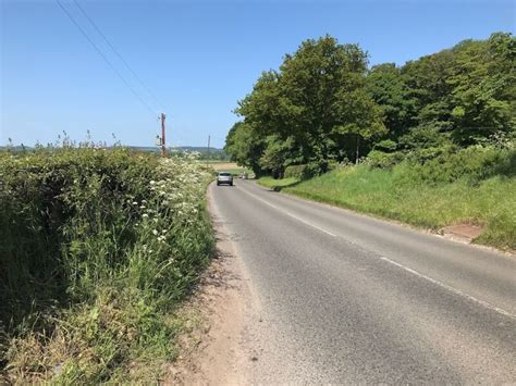 Forest Lane © David Lally Cc By Sa 2 0 Geograph Britain And Ireland