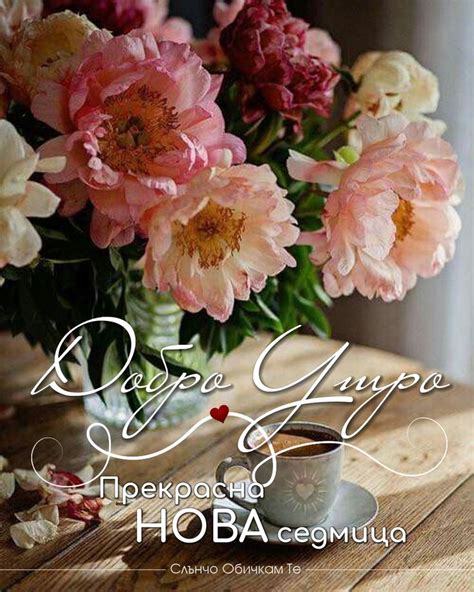 Добро утро Прекрасна нова седмица пожелания за добро утро хубав ден нова седмица добро