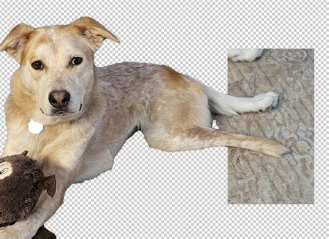 Adobe Generative Ai Album On Imgur