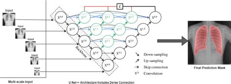 Modified U Net Architecture 34 Download Scientific Diagram