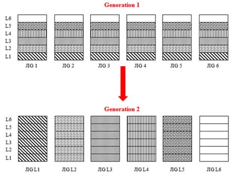 Experimental Procedure Of Sorting With Jig 135 Download Scientific Diagram