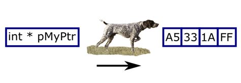 the use of smart pointers in c