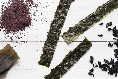 A Guide To Different Types Of Seaweed And Algae
