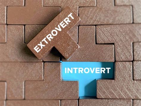 30 Insightful Introvert Quotes That Speak To Your Quiet Soul