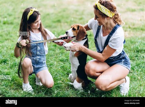 Daughter And Mother Are Playing With A Dog In The Park Outdoor Image