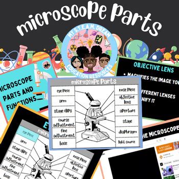 Microscope Parts And Functions Foldable Notes TPT
