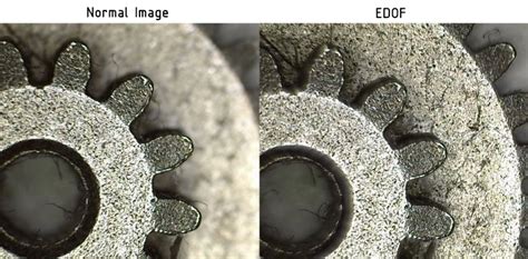 Depth Of Field Examples Dino Lite Digital Microscope Americas