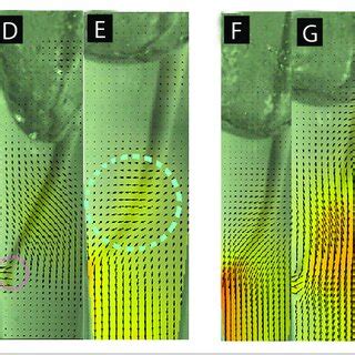A The Velocity Scale For Each Image Is Indicated By The Color Bar On