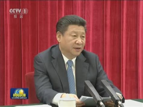 中共中央举行纪念胡耀邦同志诞辰100周年座谈会 习近平发表重要讲话 视频中国