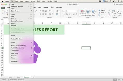 where is the info tab on microsoft excel 2019 for mac microsoft