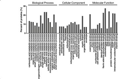 Top 15 Significantly Enriched Biological Processes Cellular