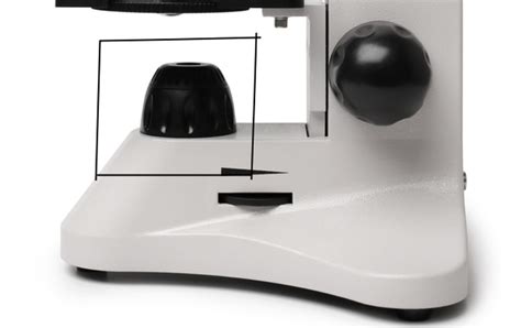 11 Parts Of A Compound Microscope With Pictures Optics Mag