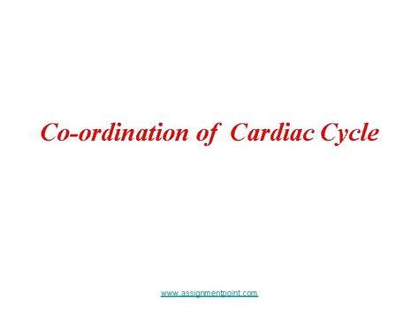 coordination of cardiac cycle assignmentpoint com 03