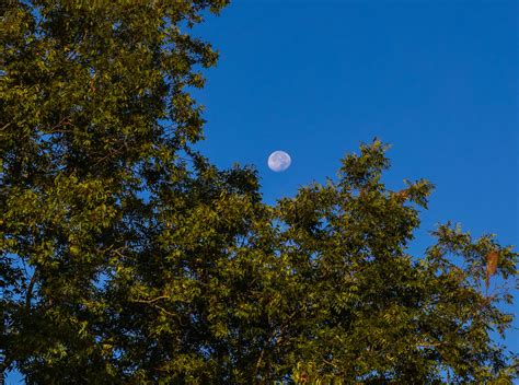 Kiewit We Are Very Excited To Welcome Back Sicangu Lakota Artist Steve Tamayo On Saturday
