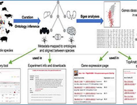 Brain RNA Seq An RNA Sequencing Transcriptome And Splicing Database RNA Seq Blog