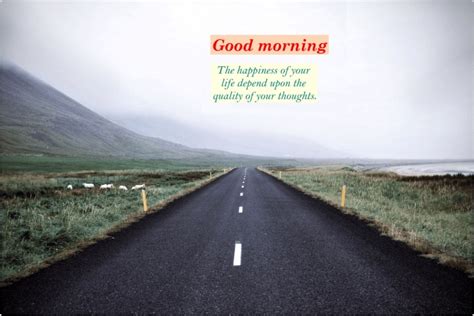 Text Of Syncfusion Sfimageeditor Wpf