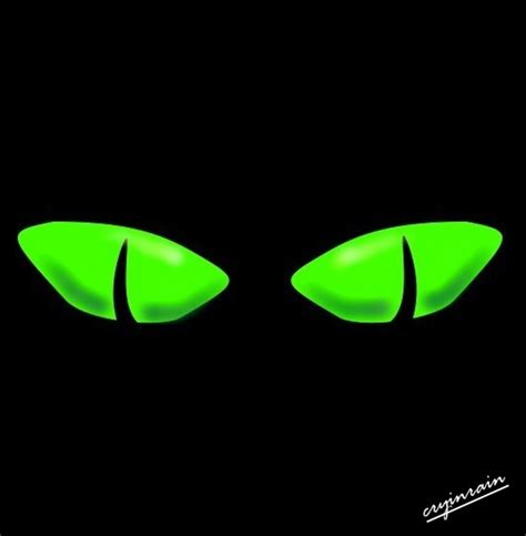 用 Python 理財打造小資族選股策略 線上教學課程 Hahow 好學校