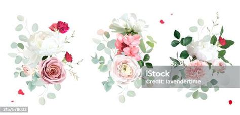 빨간색과 분홍색 장미 흰색 모란 홍당무 핑크 라넌큘러스 유칼립투스 녹색 수국 세이지 녹지 벡터 디자인 드로잉에 대한 스톡 벡터 아트 및 기타 이미지 Istock