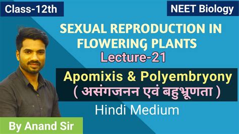 Sexual Reproduction In Flowering Plants Lecture 21 Apomixis And Polyembryony Youtube