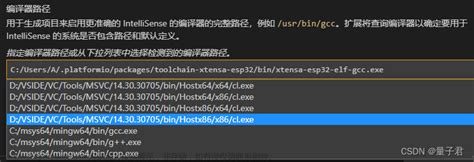 【esp32填坑日记】问题篇⑧ Vscode中提示无法使用compilerpath解析配置：“cxxxxtensa Esp32 Elf