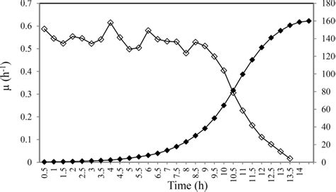 The Growth Curve ♦ And Specific Growth Rate Of Fed Batch Culture Download Scientific