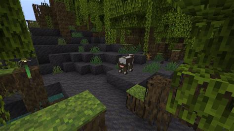 How To Get Mud In Minecraft And Use It Beebom