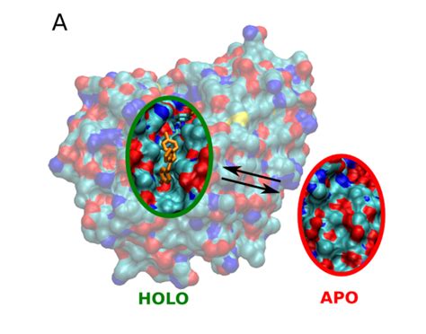 How To Look For Hidden Drug Binding Pockets Cscs