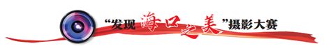 直播丨发现海口之美摄影大赛在海口目之所及都是美景 海口网