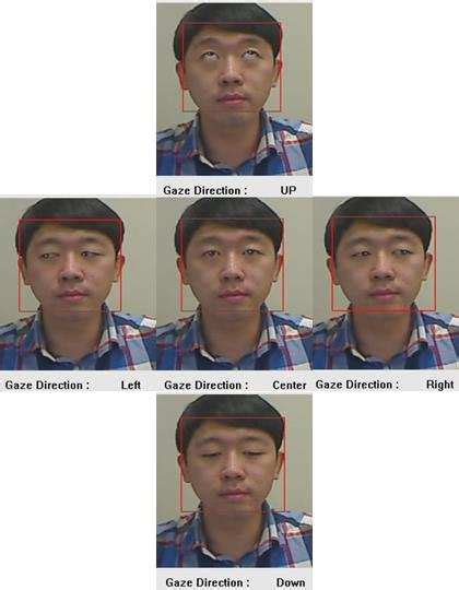 Result Of Gaze Direction Detection Experiment Download Scientific Diagram