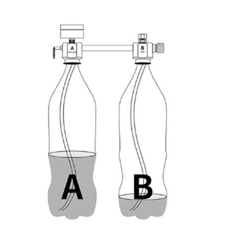 co2 generator co2 generator co2 decompression tabl vicedeal