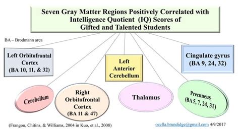 The Cerebellums Motor And Nonmotor Functions Pptx