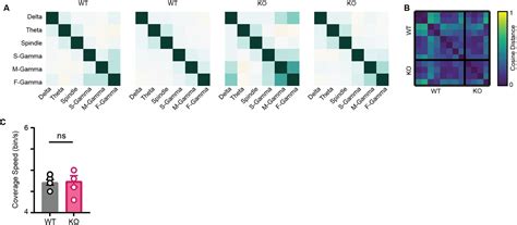 Figures And Data In State Dependent Coupling Of Hippocampal