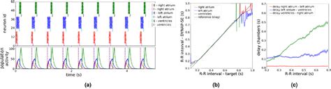 cardiac pacemaker implementation with constant heart rate a the