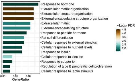 R包bioenricher：一键式富集分析和可视化 · Issue 4236 · Ixxmumpduty · Github