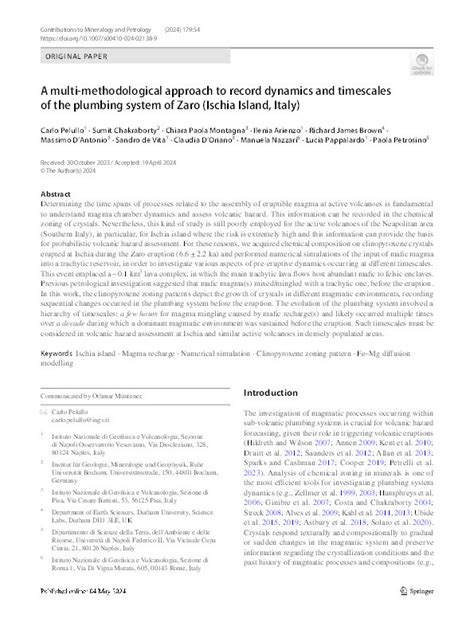 A Multi Methodological Approach To Record Dynamics And Timescales Of