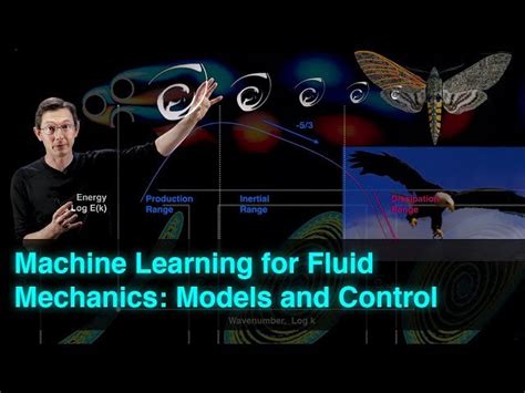 free video machine learning for fluid dynamics models and control