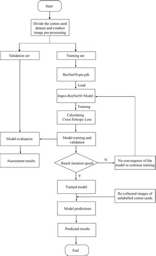 A Method For Detecting The Quality Of Cotton Seeds Based On An Improved Resnet50 Model Plos One