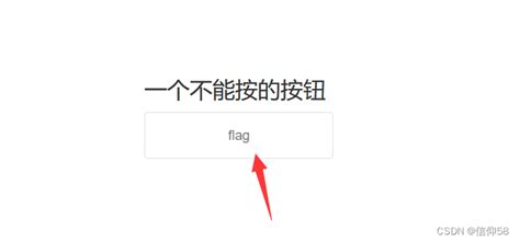 【慧河网络安全组】web基础题解培训 浏览器view source 绕过验证 csdn博客
