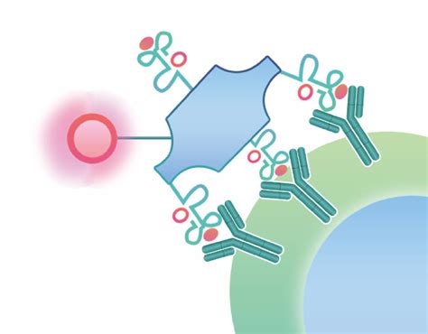 Mhc Tetramers For Rapid Simple Antigen Specific T Cell Detection