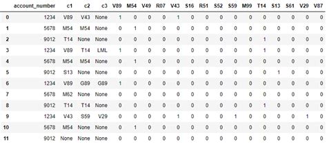 Python How To Set Dataframe Dummyindicator Columns For A Small