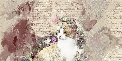 자유가 주는 것은 존재의 깨어 있음 뿐 즐거운 지식