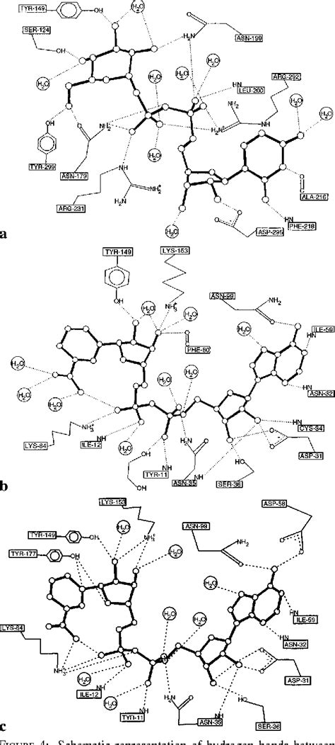 Figure 4 From Molecular Structure Of The Nadh Udp Glucose Abortive Complex Of Udp Galactose 4