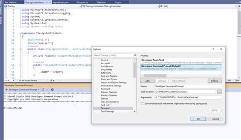 How To Launch The Terminal Inside Visual Studio