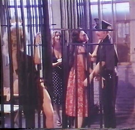 Looking For This 70s Police Movie Porn Fan Community Forum
