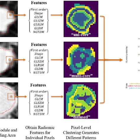 Illustration Of The Workflow Download Scientific Diagram