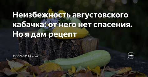 Неизбежность августовского кабачка от него нет спасения Но я дам рецепт Маруся и её сад Дзен