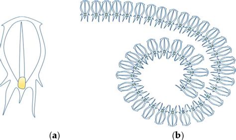 Figure 1 From Developing A Hybrid Approach Based On Analytical And Metaheuristic Optimization