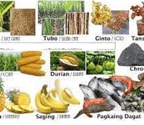Yamang Likas